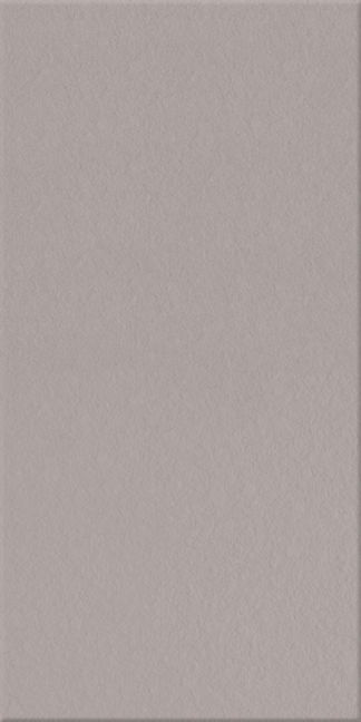 Agrob Buchtal Bodenfliese 12,5x25cm Chroma Pool steingrau mittel /C ...