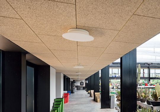 HERADESIGN® Superfine - Holzwolle Akustikplatte - Natur ()