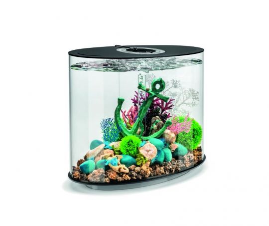 OASE biOrb LOOP 30 MCR Aquarium - Schwarz (822728864777)
